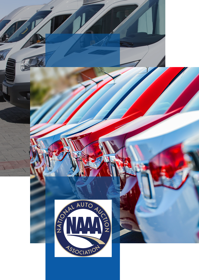 ServNet, the Nation’s Premier Network of Independent Auto Auctions.